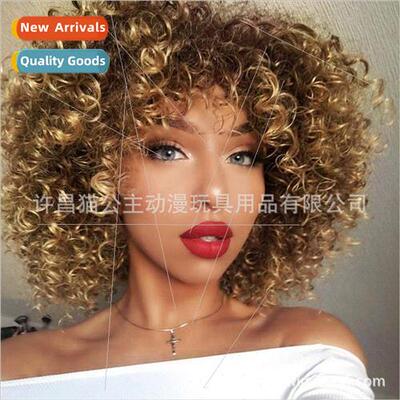 Europe wig headgear African small curly female high temperat