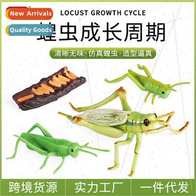 locusts butterflies ants frogs turtles mosquoes snails drago