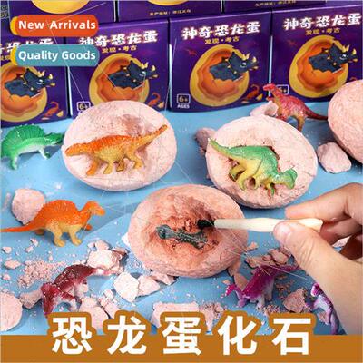 Dinosaur eggs archaeological excavation toy Tyrannosaurus re