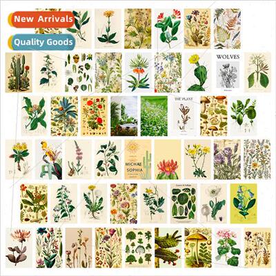 50 flora and fauna ins mori decoration mingxin wall card fre