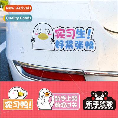 Cute duck motorcycle novice female drivers on the road car s