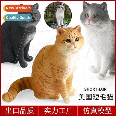 simulation animal model toys plastic cognive solid house cat