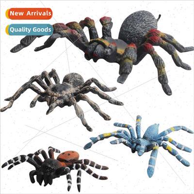 Wild Insect Animal Spider Model Gray Blue Poisonous Spider B