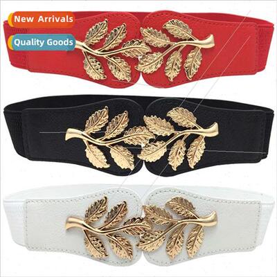 Autumn winter new dress decorative belt elastic women waist