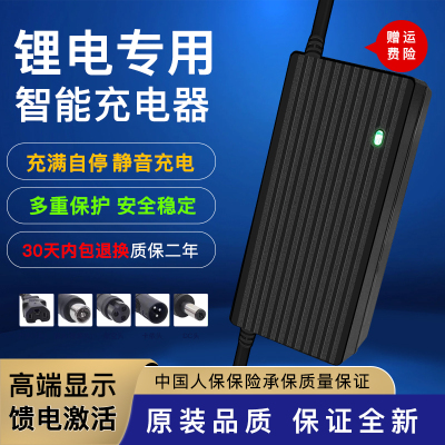 锂电池充电器36V2A电动滑板折叠车24V48V42V3A5A割草机采茶机快充
