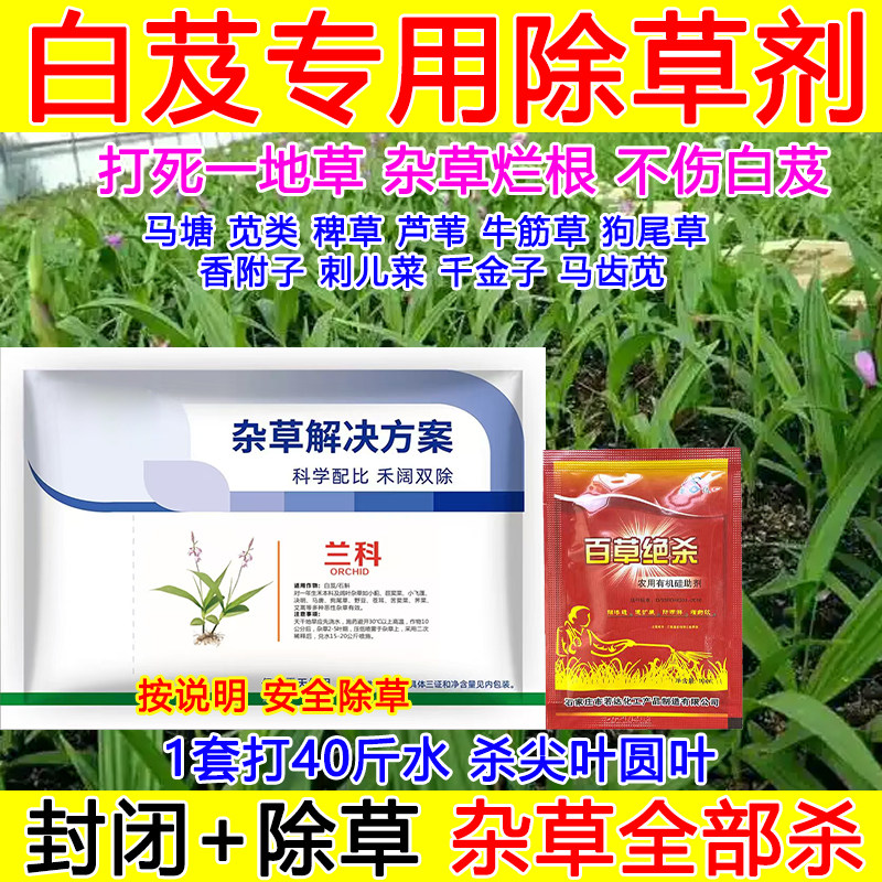 白芨专用除草剂白芨除草剂禾阔双除白芨苗后除草剂烂根狗尾草马塘