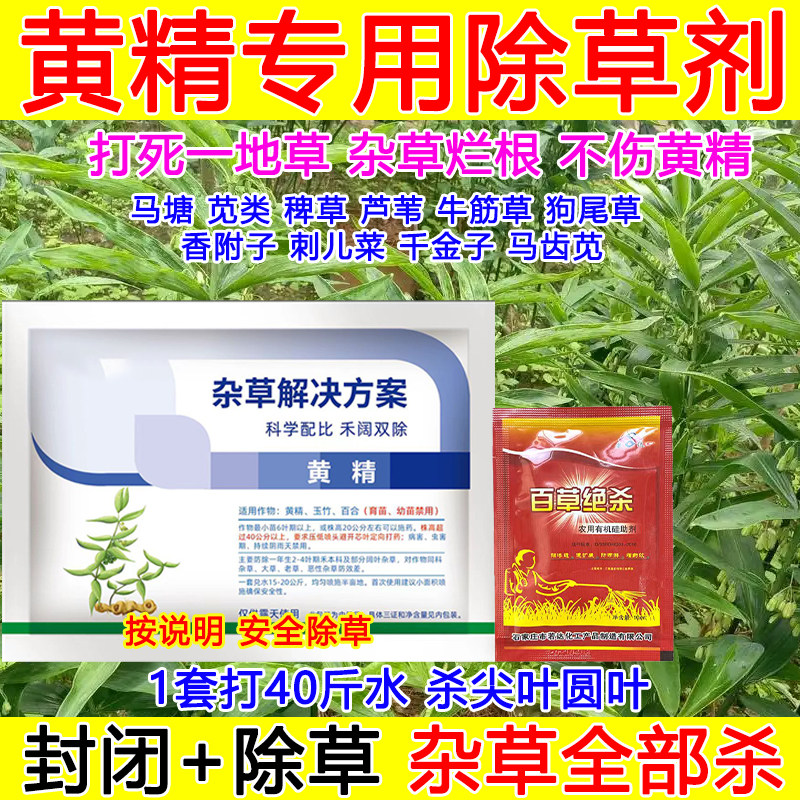 黄精专用除草剂黄精除草剂禾阔双除黄精苗后除草剂烂根狗尾草马塘