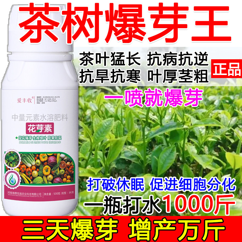 茶树芽猛长920茶树催芽促芽肥料叶面肥芽多芽嫩抗病抗逆正品肥料