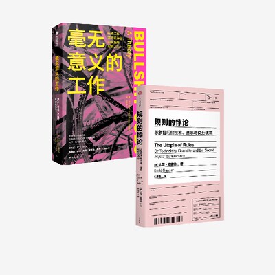 正版全2册毫无意义的工作+规则的悖论 大卫格雷伯著 全方位官僚化时代的解药 对劳动价值进行21世纪新讨论 中信出版社