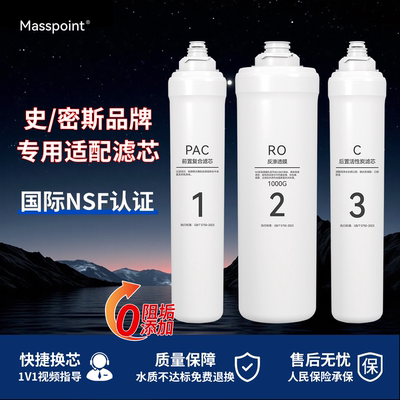 适用史密斯佳尼特大白净水器大眼萌滤芯CXR400550/600/8001000-A1
