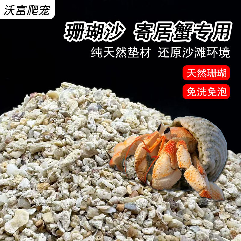 珊瑚沙寄居蟹专用沙 天然垫材原生免洗鱼缸饲养箱用纯天然珊瑚沙