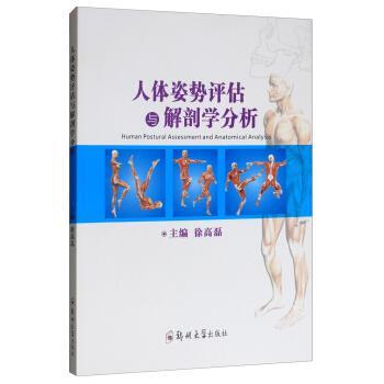 【正版书籍】 人体姿势评估与解剖学分析 徐高磊 郑州大学出版社