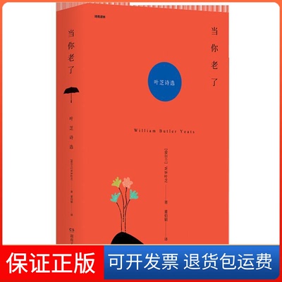 【保正版】当你老了：叶芝诗选[爱尔兰] 叶芝 董伯韬湖南文艺出版社9787540487256