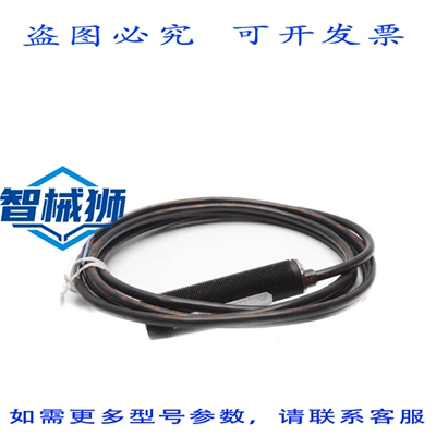原装供应 微动开关 CP18LAAL2 20-132VAC NSNP