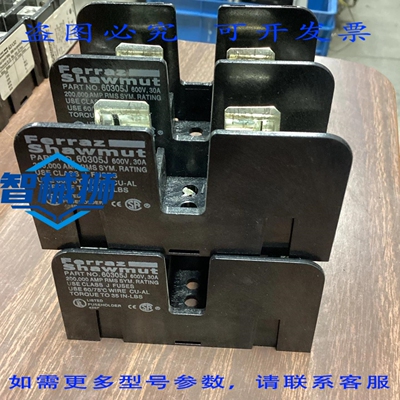 原装供应 FERRAZ SHAWMUT 60305J 600V 30A 两件装