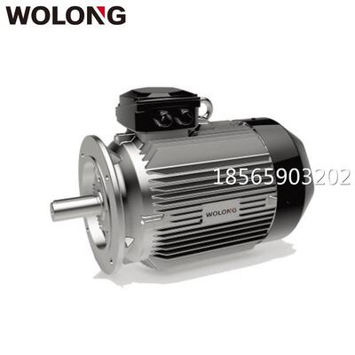 卧龙电机超高效三相异步电动机一级能效IE4 WE4 WE3卧立式WOLONG