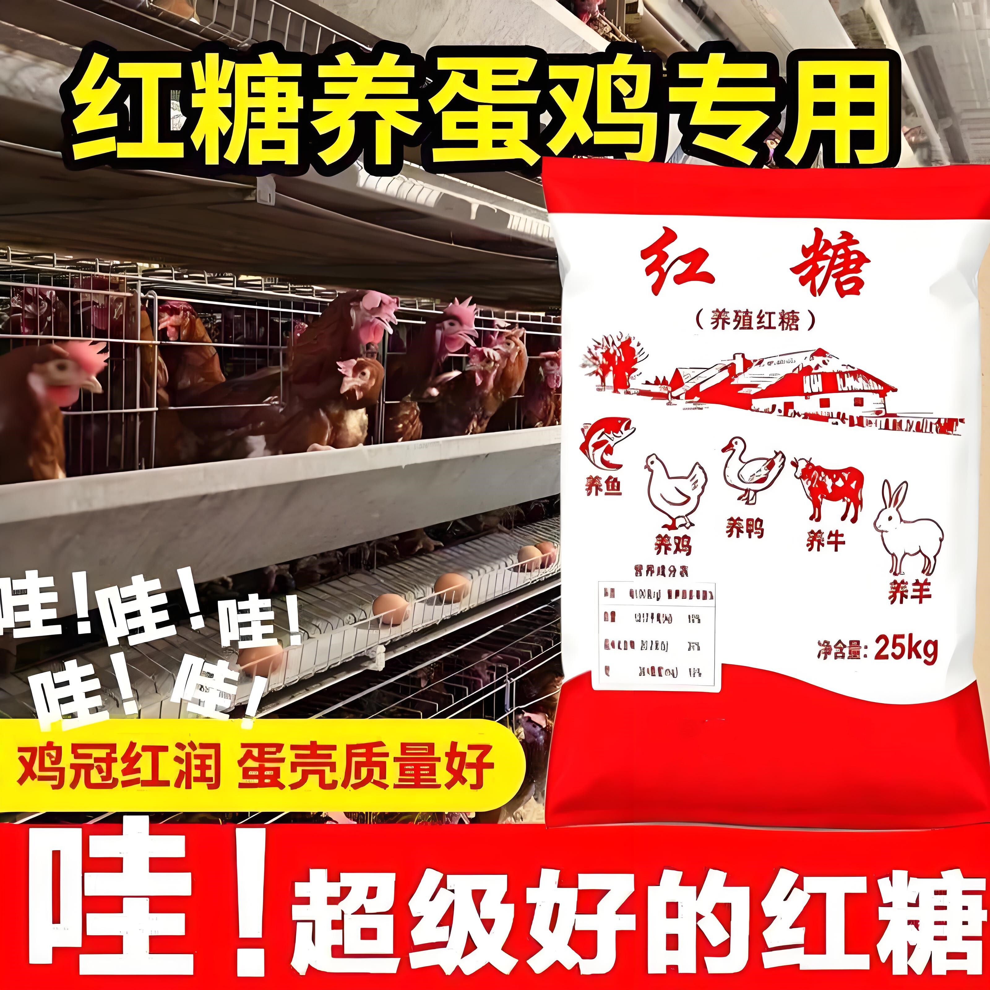 养鸡专用红糖饲料级红糖养殖用鸡猪牛羊鸡鸭鹅通用发酵甘蔗红糖粉