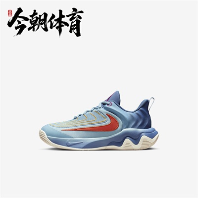 Nike/耐克GIANNISI MMORTALITY 4字母哥大童篮球鞋FZ6734-400-005