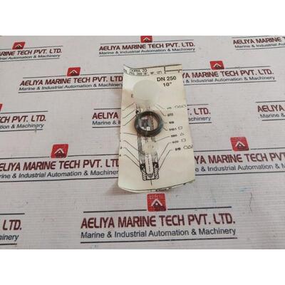 原装供应Ksb Dn 250 10 英寸 Isoria 20 套装