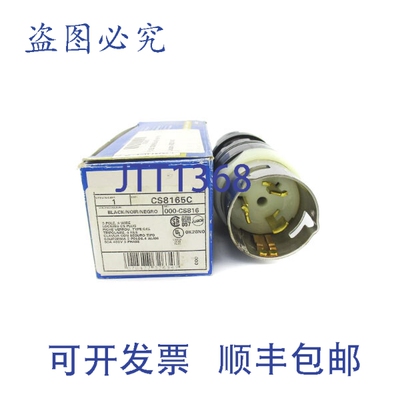 原装供应利维顿 CS8165C 480V 50A NSMP