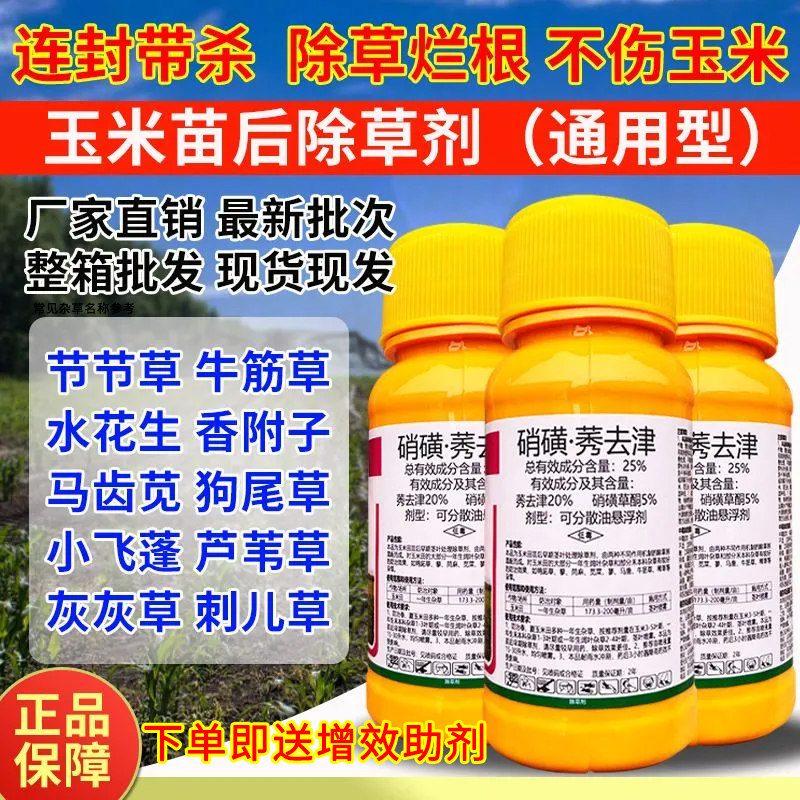玉米苗后除草专用剂玉米地除草剂不伤玉米硝磺莠去津除草烂根剂药