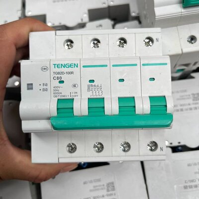 可维修天正TGB2D-100R4pC80费控开关4p80a电能表外议价