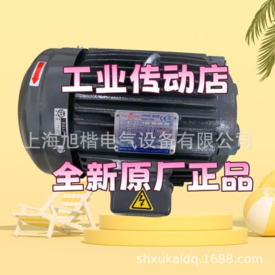 TRADE S.Y MARK液压电机C03-43B0 3HP 2.25KW POLES 4