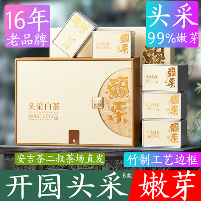 2026新茶安吉头采白茶礼盒装