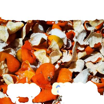 0223皮年川红橘皮手撕皮FHO川陈红橘皮红川桔皮红柑皮