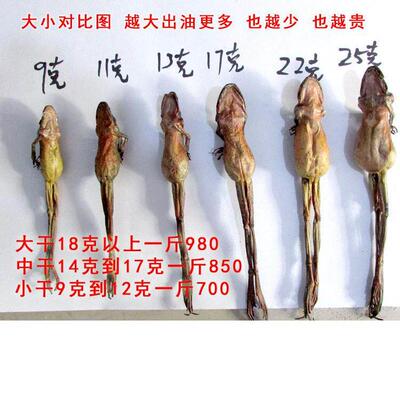 东蛙北整祇林蛙哈干长白山雪蛤干13林克/祇雪蛤油蛤蟆油油PED什蚂