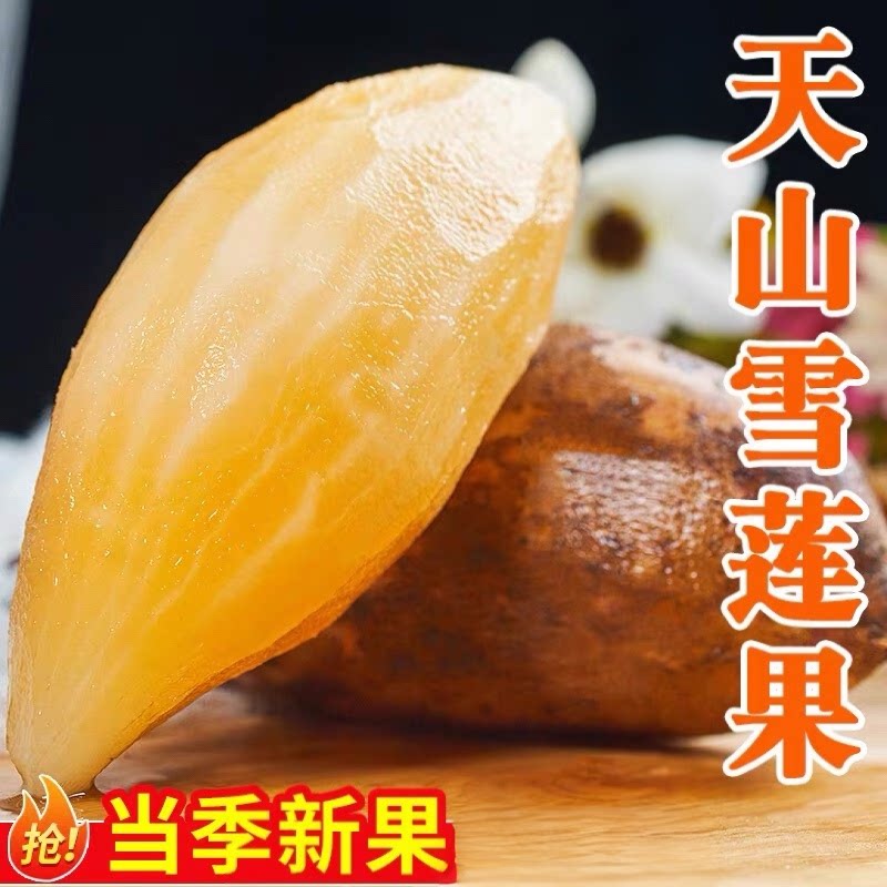 现挖天山雪莲果黄心特级大果脆甜多汁坏果秒退新鲜包邮发货