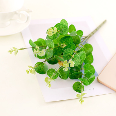 速发花尤加利叶植物饰照道具摆件居家装拍品摄影背景装饰