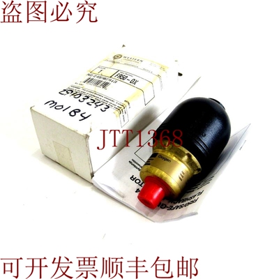 原装供应Western Entertainment FR50-OX ARRESTOR 氧气止回阀 FR