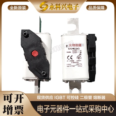 熔断器保险170M3243/3244/3245