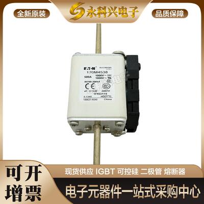 巴斯曼熔断器170M6613/6614/6615