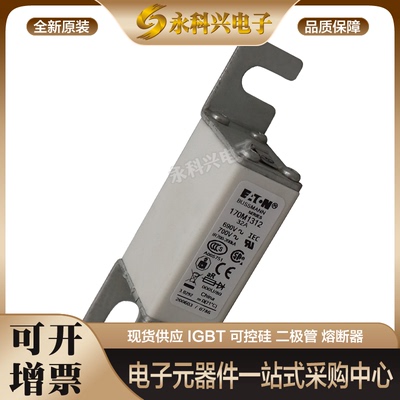 巴斯曼熔断器170M2663/2664/2665