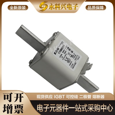 巴斯曼熔断器170M5009/5010/5011