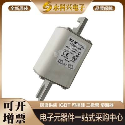 巴斯曼熔断器170M3170/3171/3172