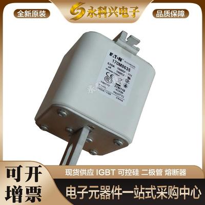 巴斯曼熔断器170M3193/3194/3195