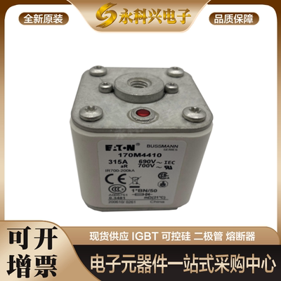 全新原装巴斯曼熔断器170M4408