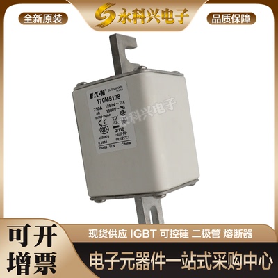 巴斯曼熔断器170M4168/4169/5158