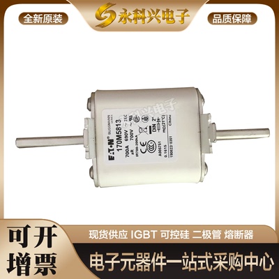 巴斯曼熔断器170M5617/5618/6608