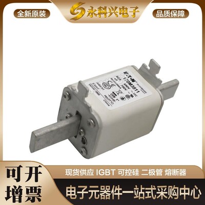 巴斯曼熔断器170M3519/3520/3521