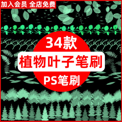 手绘森林植物叶子树叶元素PS笔刷画笔基础工具预设插件绘画素材图