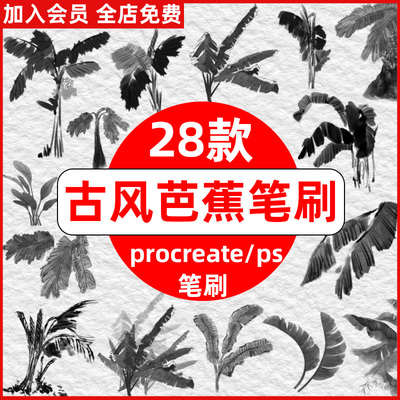 procreate笔刷ps笔刷水墨芭蕉叶子古风国画植物树叶插画水彩手绘
