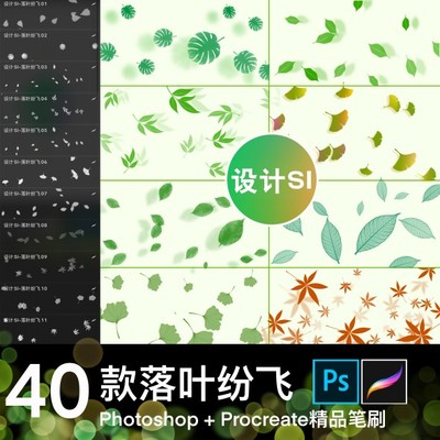 procreate笔刷ps笔刷落叶秋天动漫场景植物树叶飘落风景插画叶子