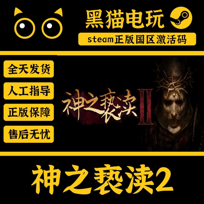 steam正版神之亵渎2CDKey