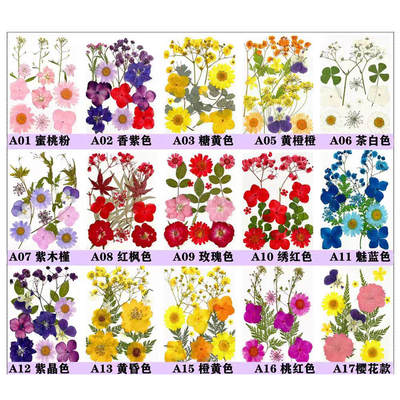 diy水晶滴胶树叶干花包