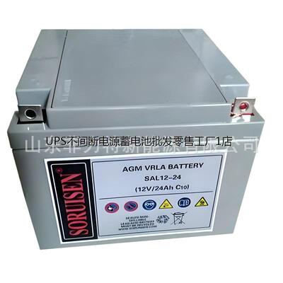 索润森蓄电池12V65AH0长