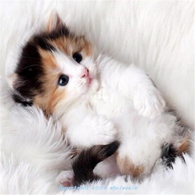 Creative Gift Cross Stitch Diamond Painting 5D DIY Cute Anim